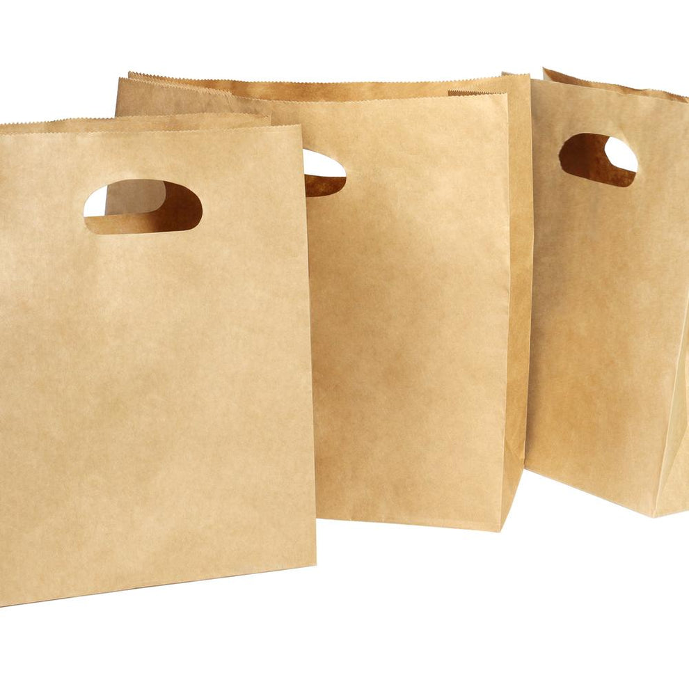 Die-Cut Handle Paper Bags – Shree Printwell Offset Pvt Ltd