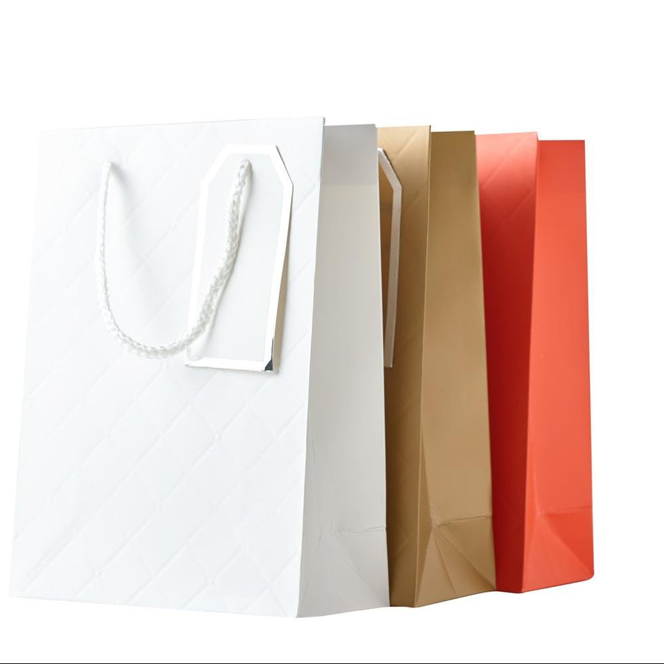 Printed Paper Bags Styles & Sizes | Printwell